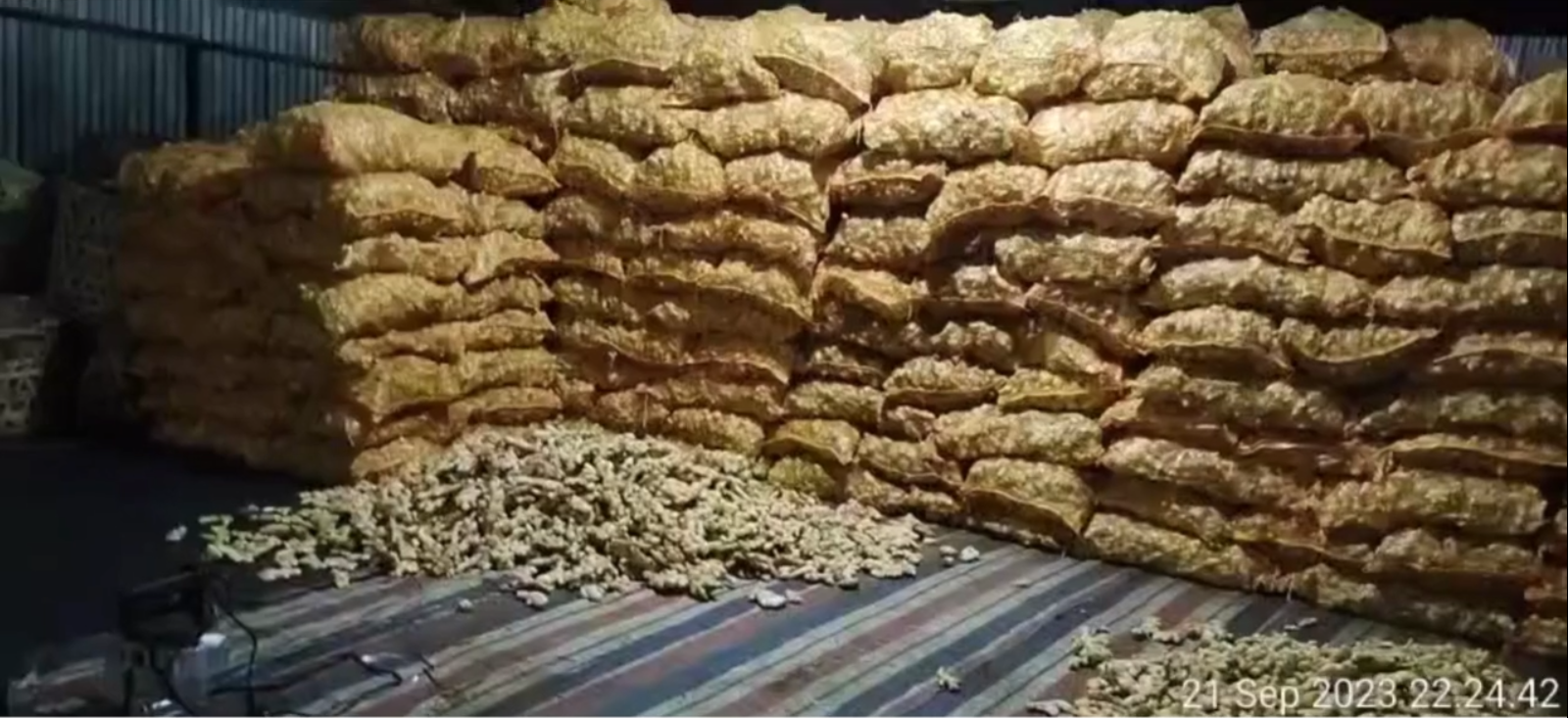 Discover Our Gallery - Ashalfata Agro Buana